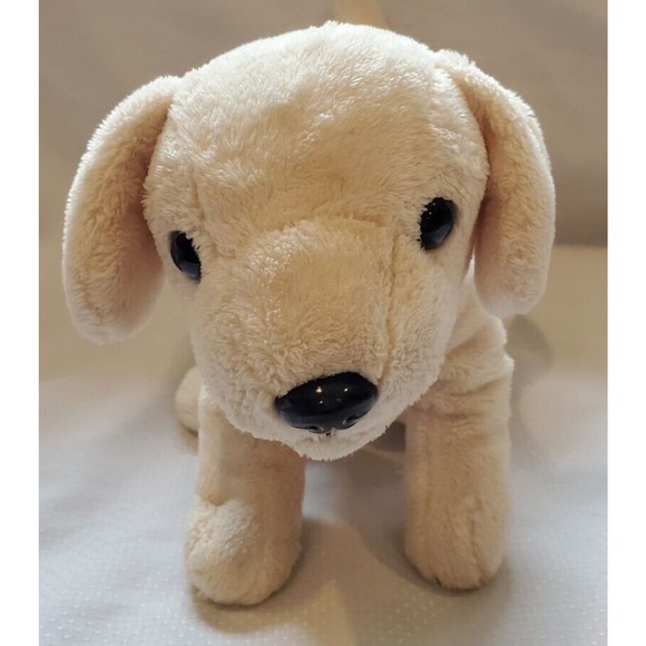 Dan Dee | Toys | 209 Dan Dee Golden Labrador Retriever Sdsh Lindi ...